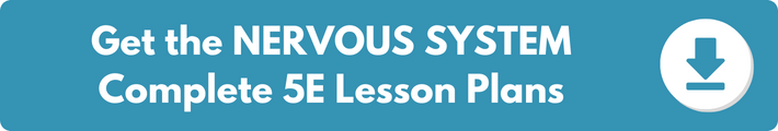 Nervous System Lesson Plan – A Complete 5E Method Science Unit
